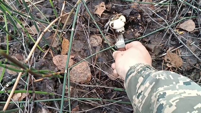 Саратовская грибалка в сентябре 23-го