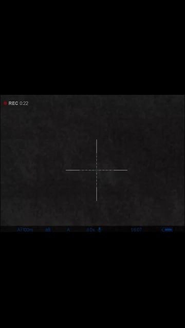 КАБАНЫ | ОМСК | РЕАЛЬНАЯ ОХОТА | НОЧНОЙ ВЫСТРЕЛ