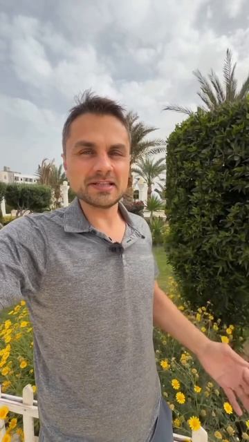 Почему в аэропорту на досмотре просят включить ноутбук?