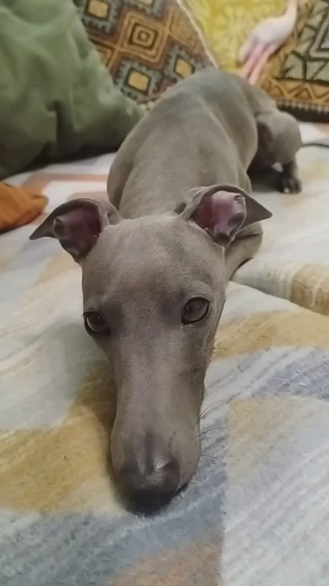 О ЧЁМ ГРУСТИТ КАЖДЫЙ БЛОГЕР