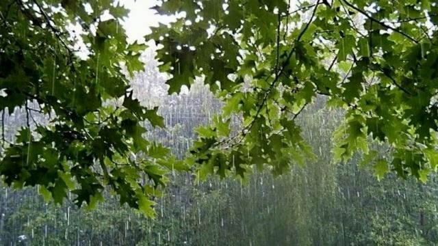 Капля за каплей #релаксация #медитация #природавосприятия