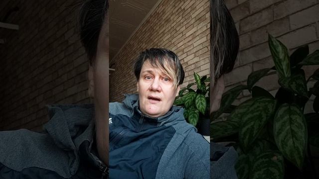 Отзыв на курс PRO_отношения