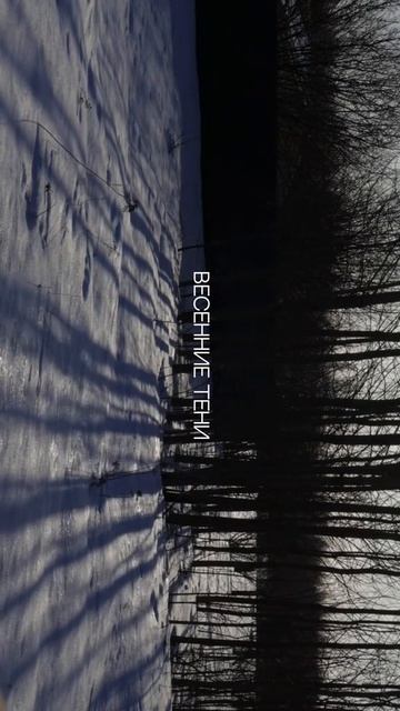 Весенние тени