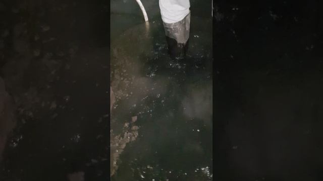 Трубы - виселки и абсолютно сухой подвал!