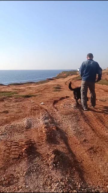 Прогулка с собакой возле моря. 14-03-2026