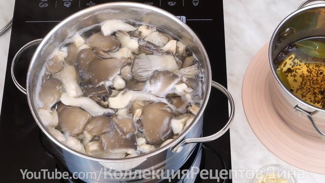 Соленые_грибы_вешенки_за_сутки_Рецепт_быстрой_засолки_грибов_горячим_способом_Грибы_без_уксуса