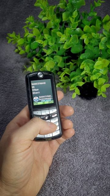 Motorola E398 и Брат 2