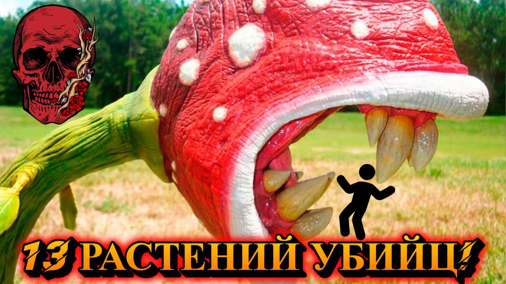 КРАСИВО, НО СМЕРТЕЛЬНО! 13 Растений, идеальных природных убийц!
