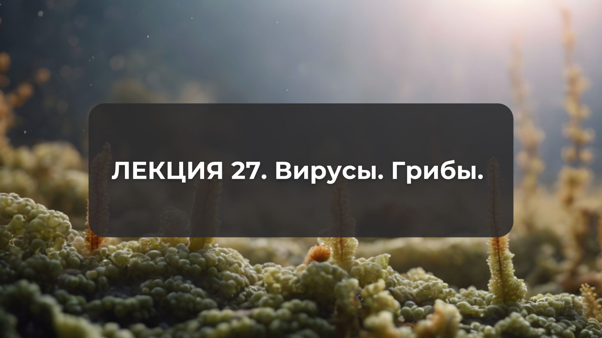 ЛЕКЦИЯ 27. Вирусы. Грибы.