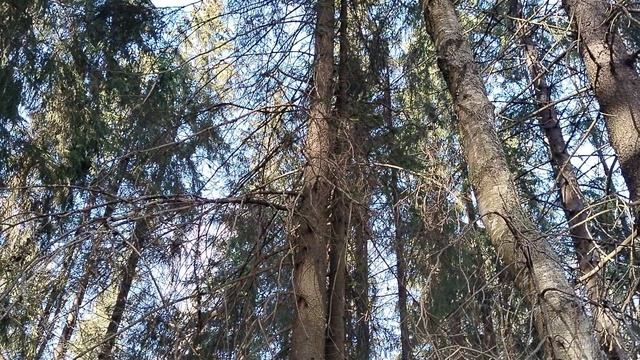 Поход на ручей за водой 15 марта 2026