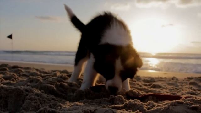 🔋Никогда больше не покупайте батарейки типа АА! Используйте магнит и наблюдайте.