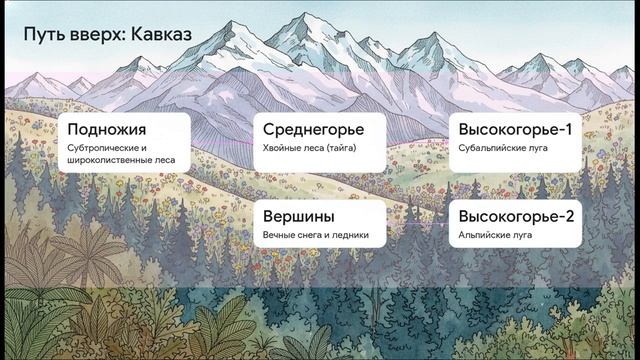 География 8 класс параграф 49 Субтропики Высотная поясность в горах краткий пересказ