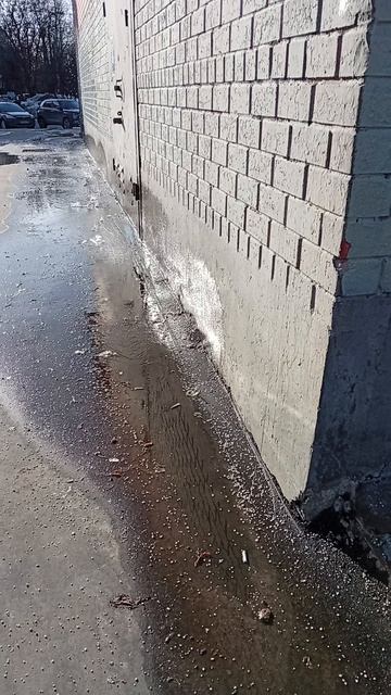 Весенняя капель