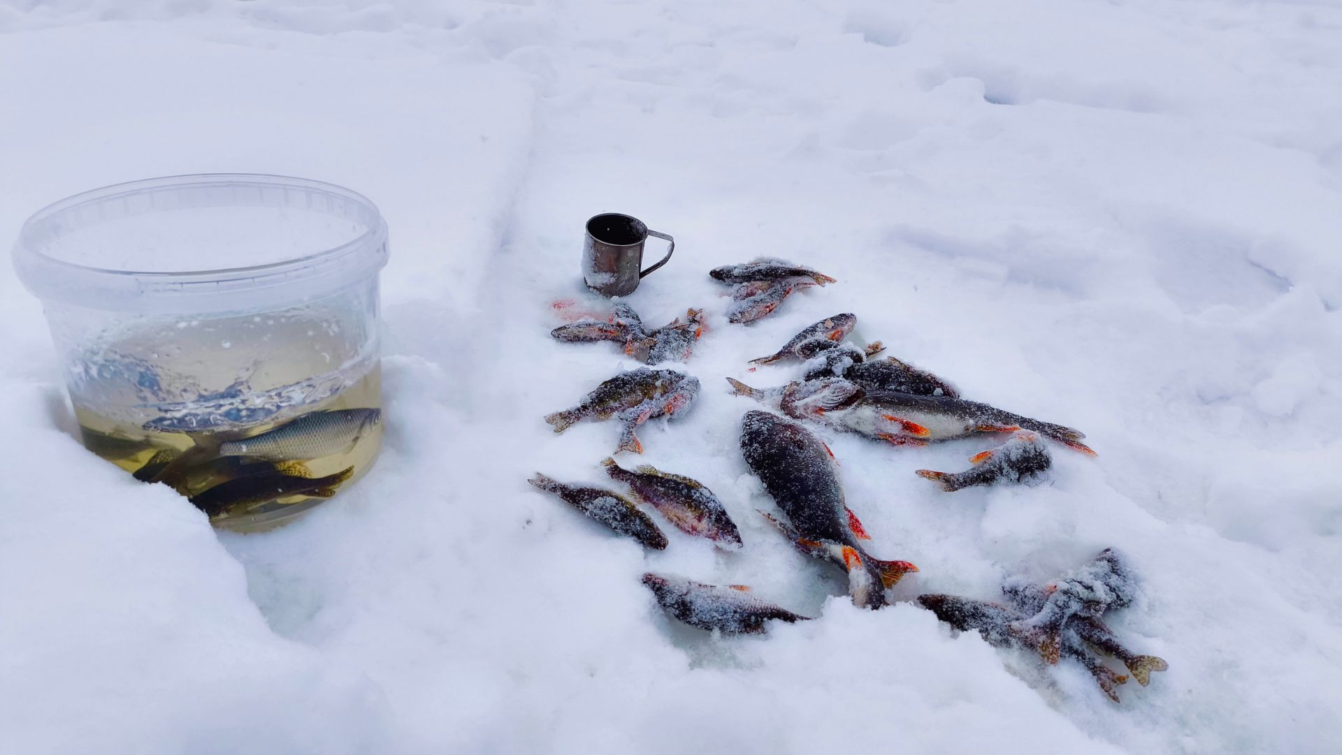 Рыбалка в пятницу, 13-го. Озёра ХМАО.