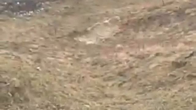 Новый треил Day 1