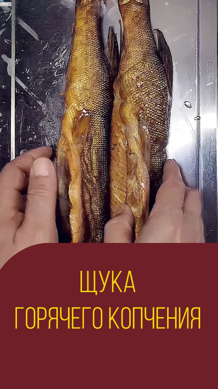Щука горячего копчения. Мальковский Вадим