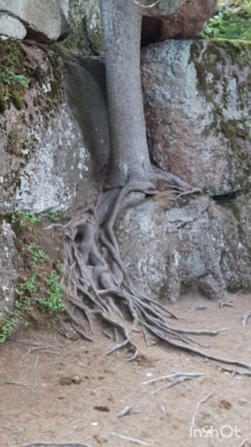 Путешествия и отдых.Питер2024.Фильм33.Серия2.Часть1