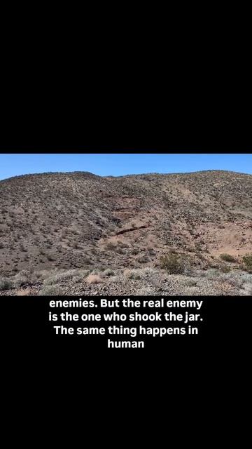 Кто трясет банку? Скрытая правда конфликта