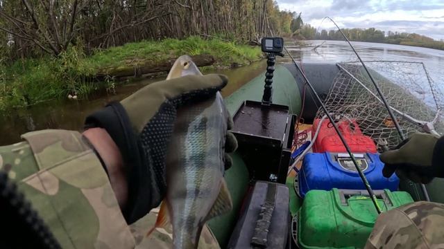 🔺️🎣ОКУНЬ🎣🔺️fishing#туризм#природа#ловля#рыбалка#щука#ловлящуки#ночевка#Чулым#река#спиннинг