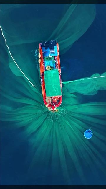 Рыбаки создают завораживающие узоры во время ловли анчоуса