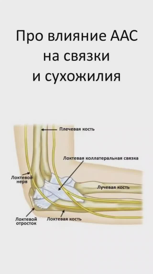 Про влияние ААС на сухожилия и связки