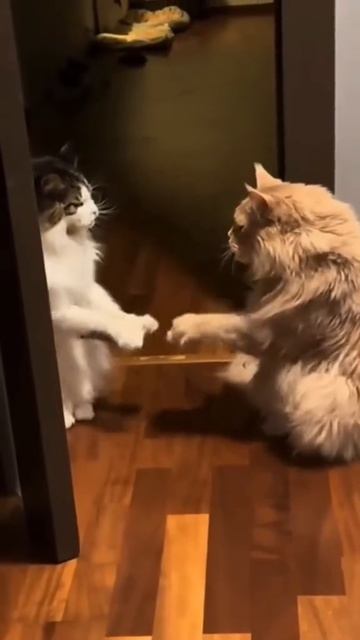 синхронизация прошла успешно