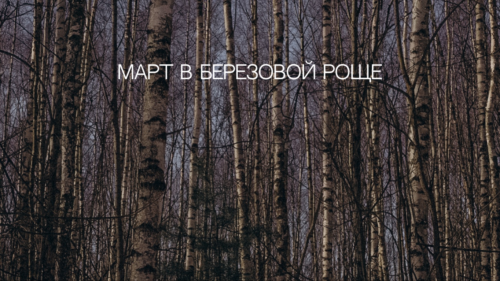 Март в березовой роще