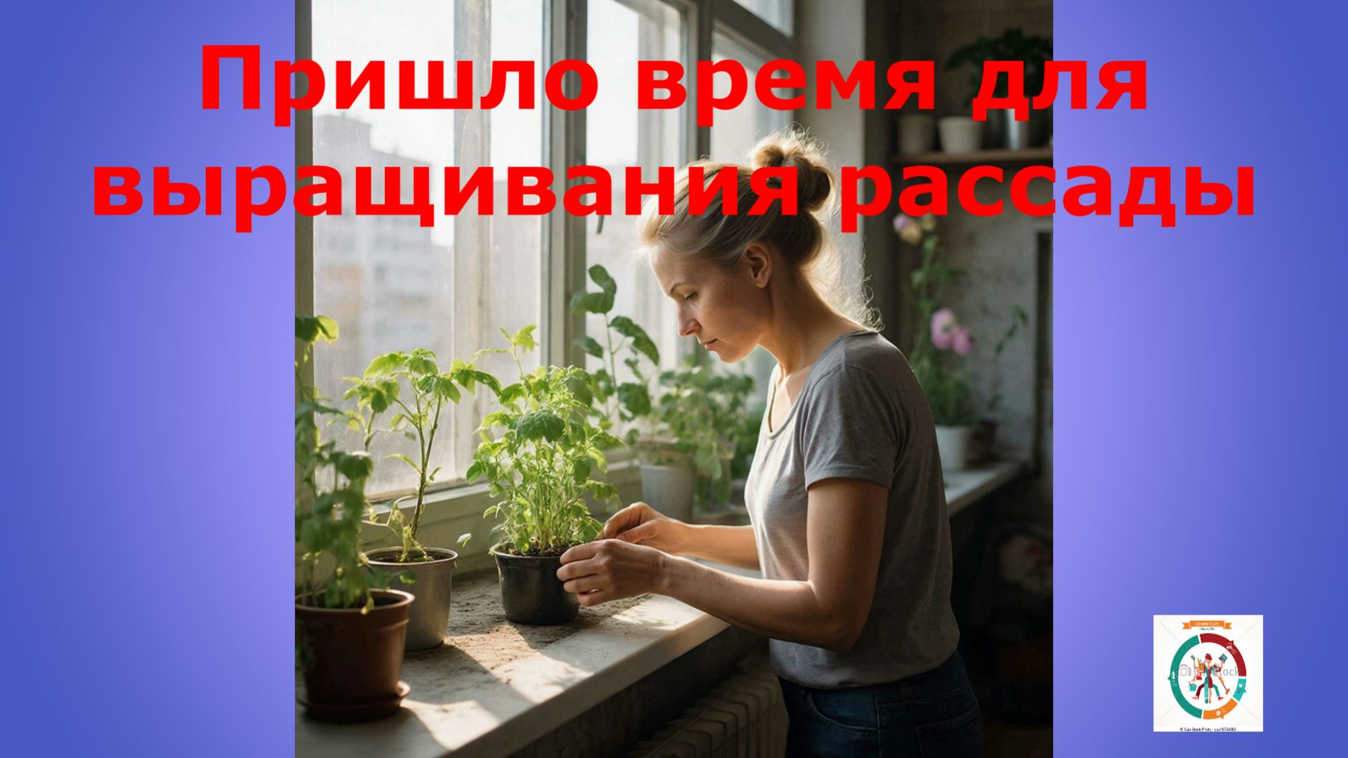 Пришло время для выгонки рассады для сада- огорода. Март на дворе!