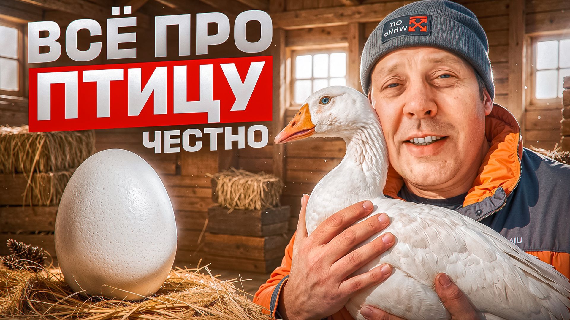 КАК Я ГОТОВЛЮСЬ К ПТИЧЬЕМУ СЕЗОНУ:отвечаю на вопросы про кур, уток и гусей. СИБИРЬ-ЧТО С ЗАБОЕМ КРС?