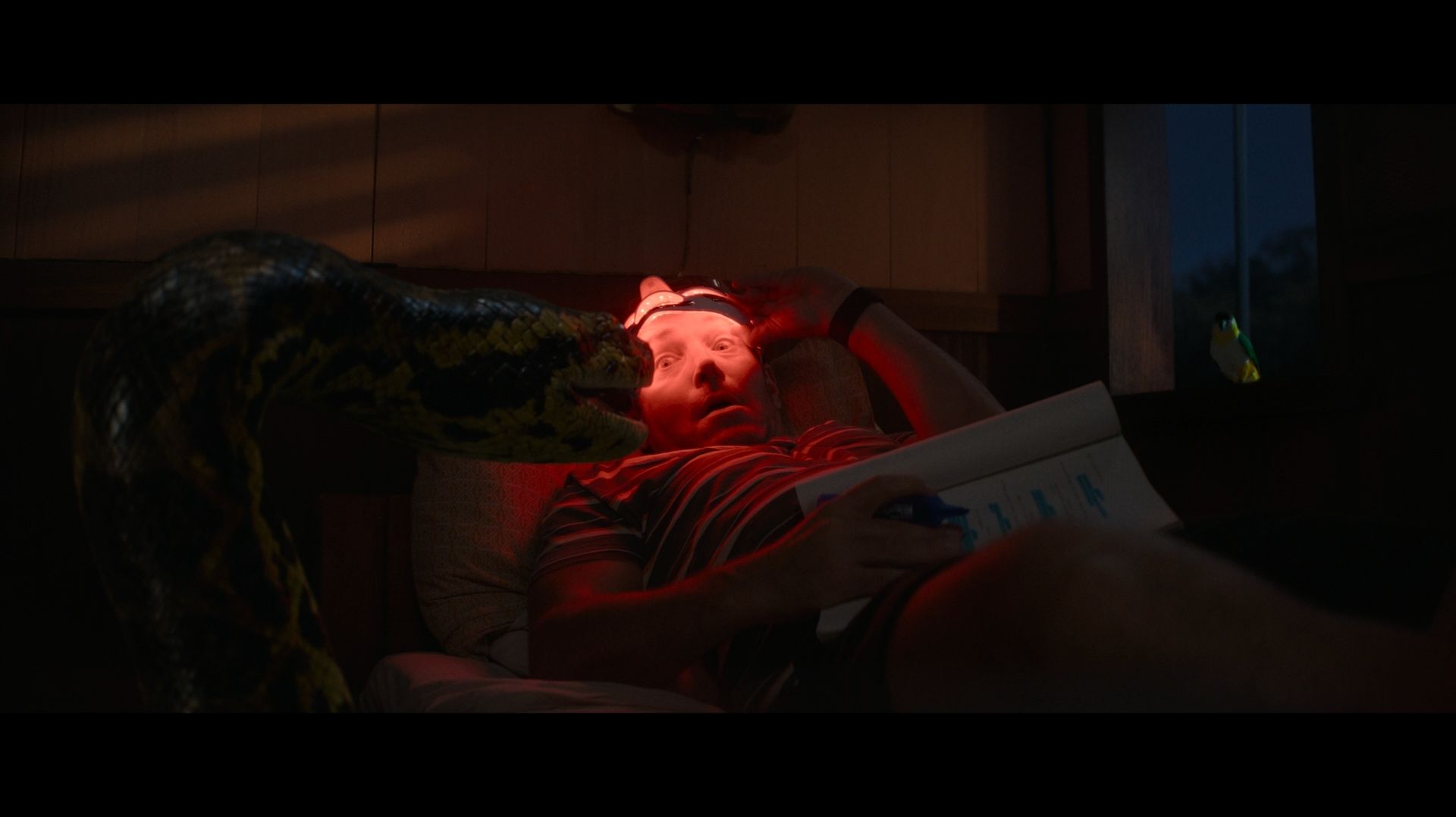 Птичку жалко. Анаконда 2025. Фрагмент фильма