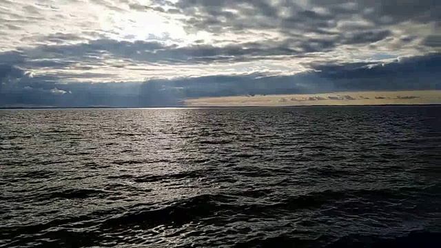 Горе море 2019