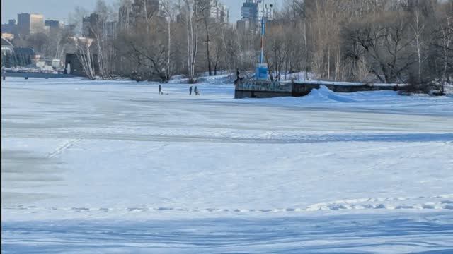 На берегу Химкинского водохранилища. 15.03.2026.