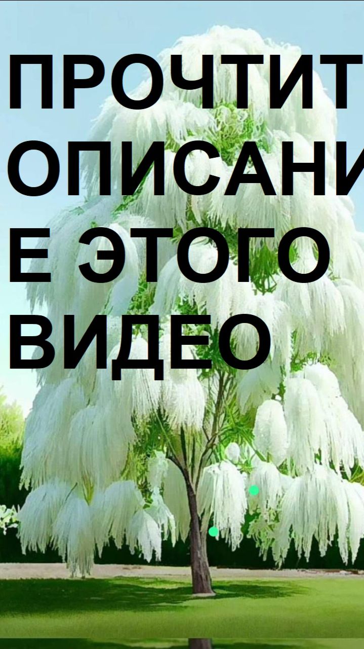 сюжет 2025, Москва, прочтите описание видео, адвокат, изучение английского языка, нужно обращайтесь