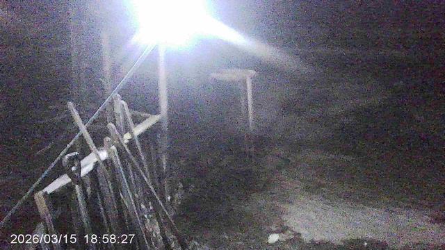 Светильник SOLAR во дворе: включается по датчику движения