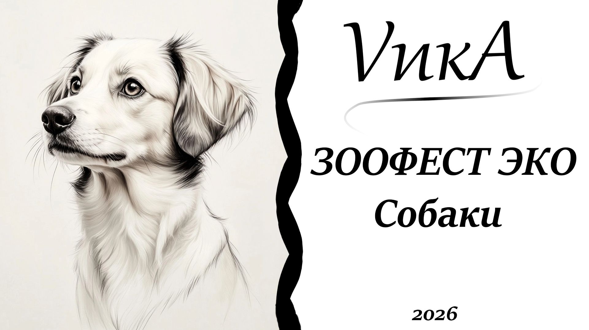 ЗООФЕСТ ЭКО 2026 |Собаки