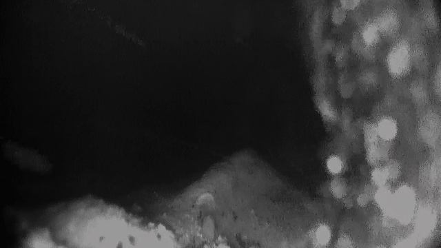 Ознакомление подлещика с камерой