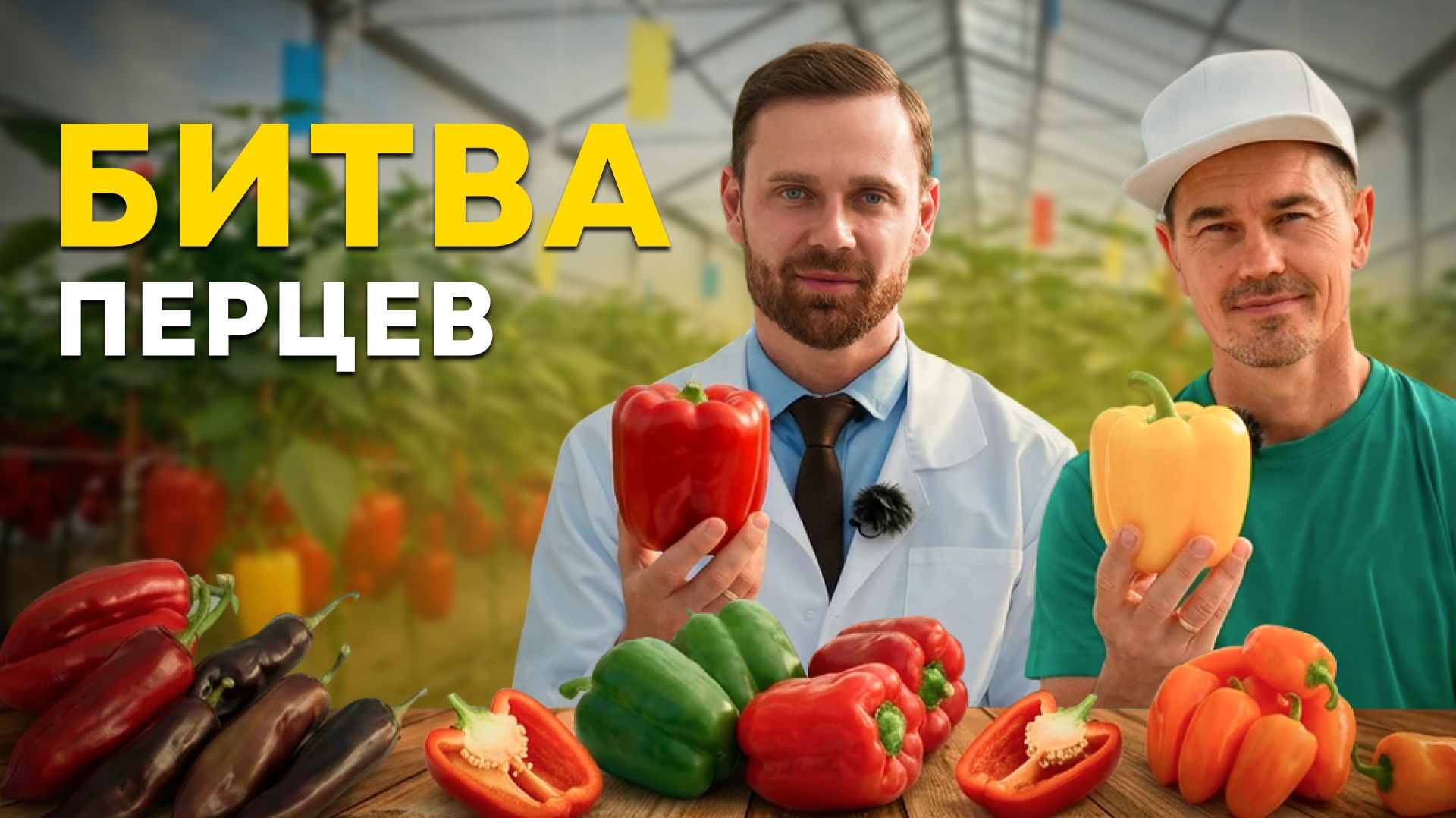 🌶️😋 СЕМЕНА ПЕРЦА ДЛЯ ДАЧИ: КАКИЕ ГИБРИДЫ САМЫЕ СЛАДКИЕ? ЧЕСТНАЯ ДЕГУСТАЦИЯ!