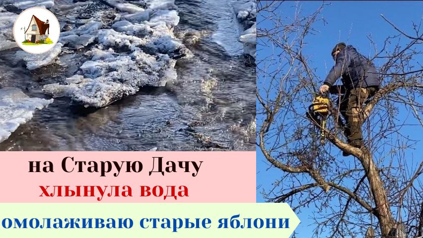 Март 2026. Талые воды и обрезка сада.