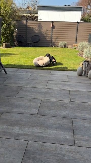 Весеннее настроение ☀️