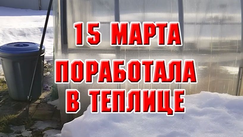 15 марта. Поработала в теплице