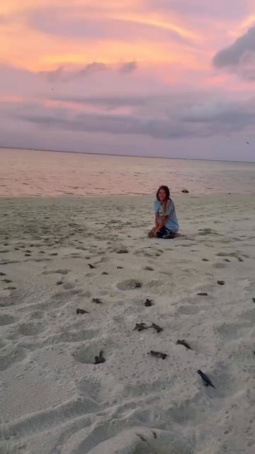 Тысячи крошечных черепах делают первые шаги к воде, начиная долгий путь по океан