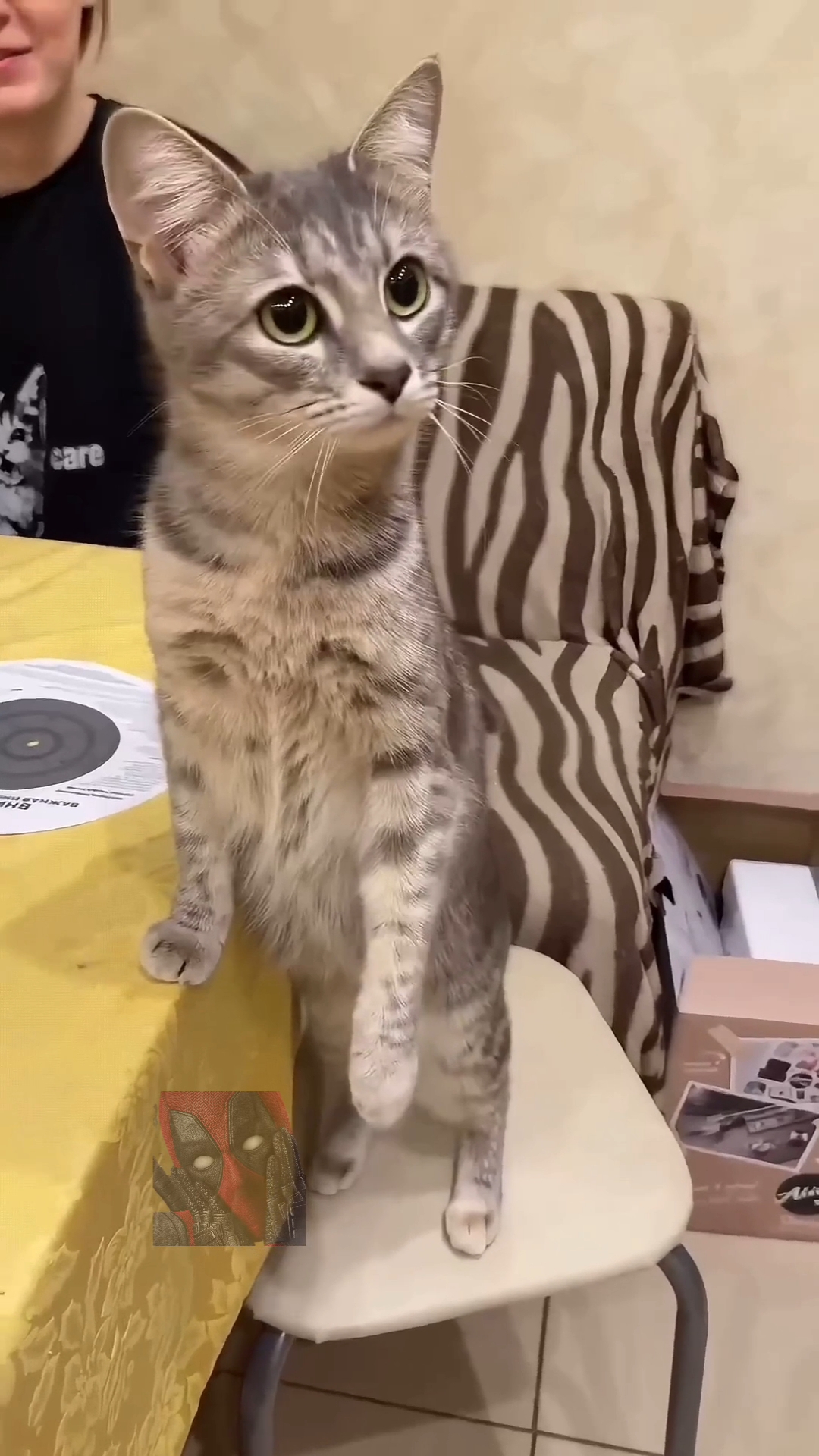 Время пролетало в кайф и музыка играла 😼🫶😎