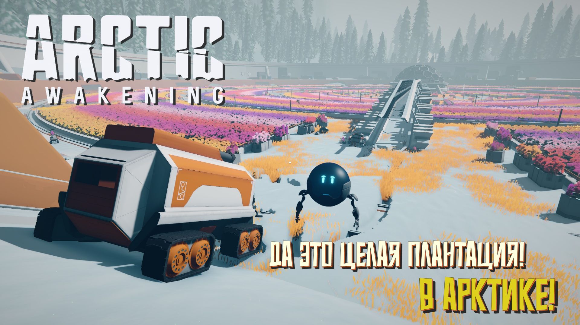Это целая плантация! В Арктике! #7 Arctic Awakening