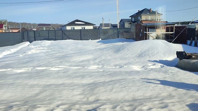 Неплодотворный день. Дневник за 15 марта