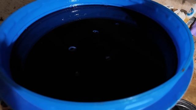 Первая обрезка винограда в Португалии. Спасаю тонны цитрусовых (Дом в Португалии). Выпуск 52