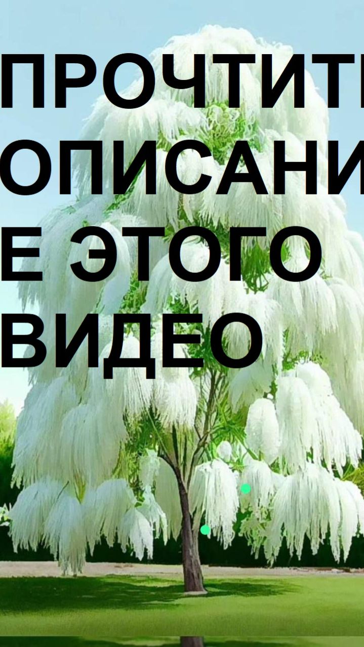 сюжет 2025, Москва, прочтите описание видео, адвокат, изучение английского языка, нужно обращайтесь