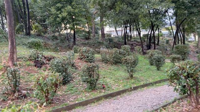 🇭🇷🇭🇷Ловран. 🇭🇷🇭🇷 Хорватия 🇭🇷🇭🇷