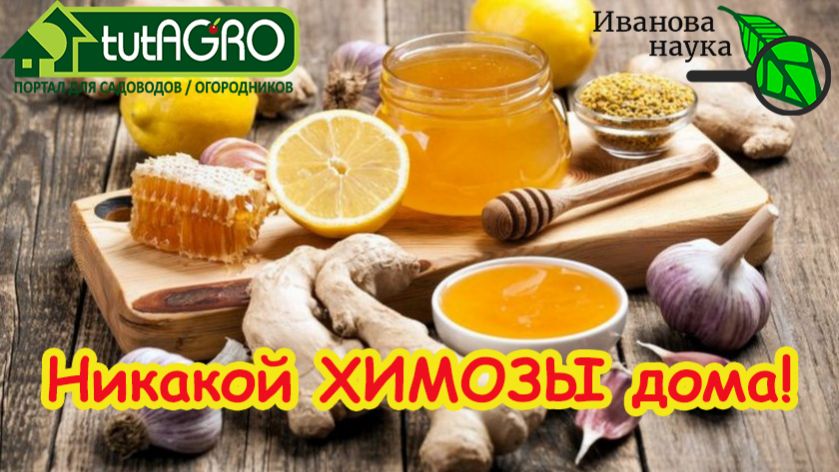 🌿 Секрет КРЕПКОЙ и ЗДОРОВОЙ РАССАДЫ без химозы: домашние средства за копейки.