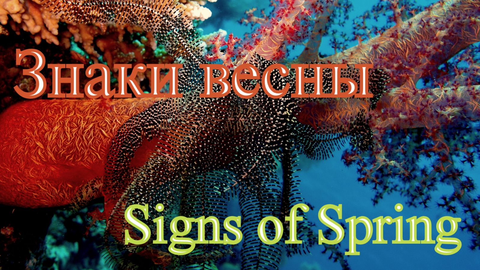 Знаки весны