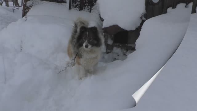 2026.03.14. После бурана.